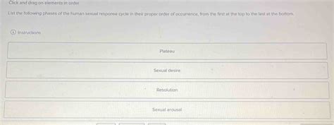 Solved Click And Drag On Elements In Order List The Following Phases Of The Human Sexual