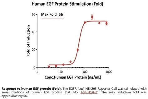 The Intersection Of Carcinogenic Signaling Pathways