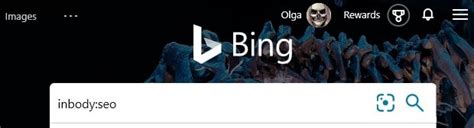Bing Search Operators SEOSLY Olga Zarr