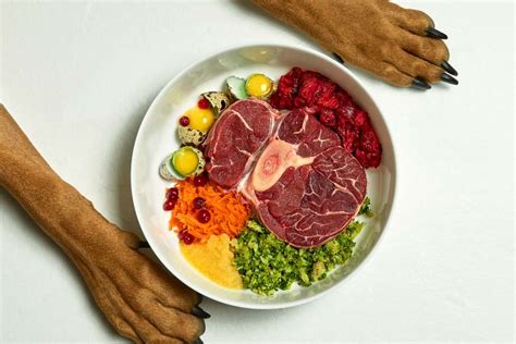 Raw Diet For Dogs Benefits And Risks Good Dog People™