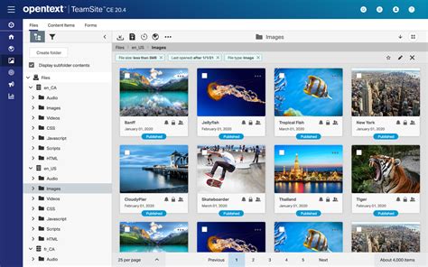 Asset View Phase 2 Dudfourthree Ux Design