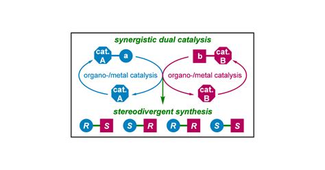 Synergistic Dual Catalysis In Stereodivergent Synthesis Acs Catalysis