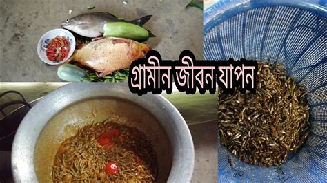 গ্রামীন দৈনন্দিন জীবন যাপন Village Life Youtube