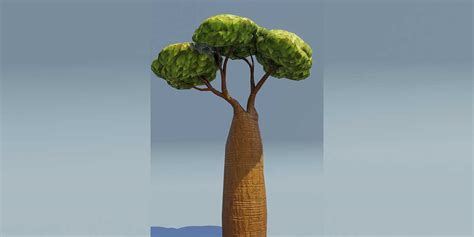 Cartoon Baobab Tree 3d Model Blender Market