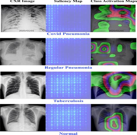 visualizing the features learned by the cnns 2 download scientific diagram