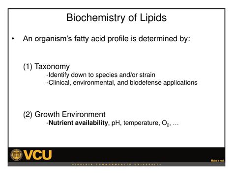 Forensic Analysis Of Microbial Lipids Ppt Download