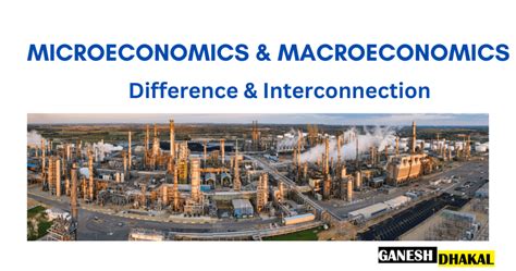 6 Difference Between Microeconomics And Macroeconomics And Interrelation