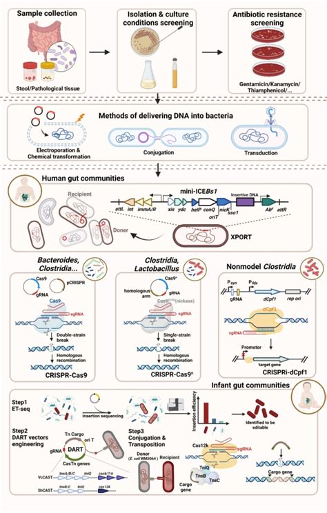 Shanghai Institut Of Immunity And Infection Chinese Academy Of Sciences