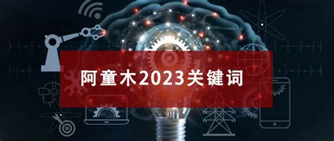 创新不止品质永恒阿童木2023年度回顾与展望