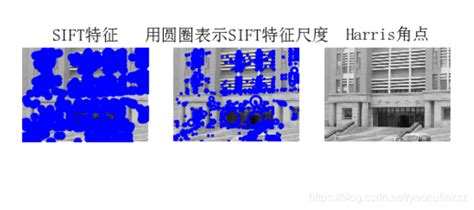 Sift（尺度不变特征变换）原理与简单应用show A Figure With Lines Joining The Accepted