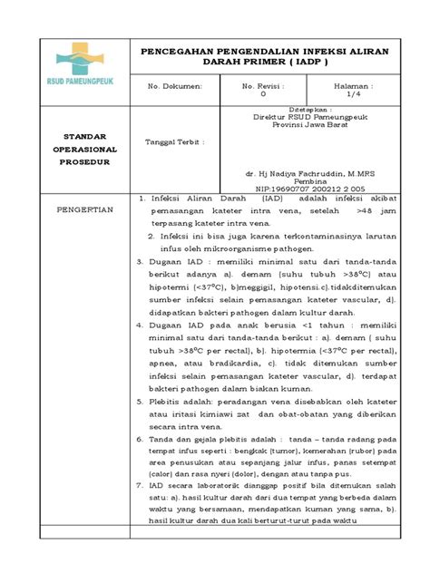 09 Spo Pencegahan Pengendalian Infeksi Aliran Darah Primer Iadp Pdf