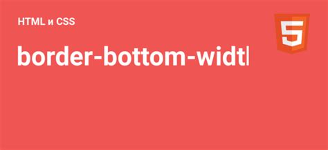 Border Bottom Width Property Script Tutorials