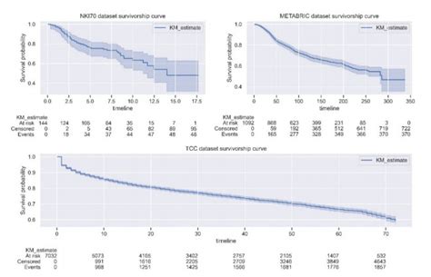 Survival Prediction Model For Right Censored Data Based On Improved