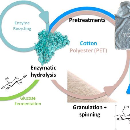 Outline Sketch Of The Process Cascade Download Scientific Diagram