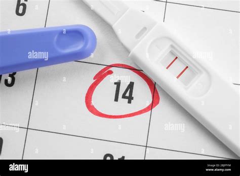 Pregnancy Test And Marked Date On Calendar Stock Photo Alamy