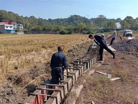湘东镇：高标准农田改造推动农业现代化 湘东镇 萍乡城事网—萍乡最具影响力门户网站 萍乡城事网