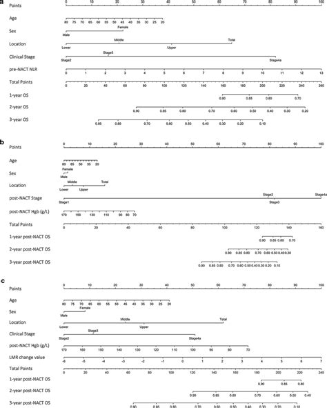 Nomogram Predicting 1 Year 2 Year And 3 Year Survival For Locally Download Scientific Diagram