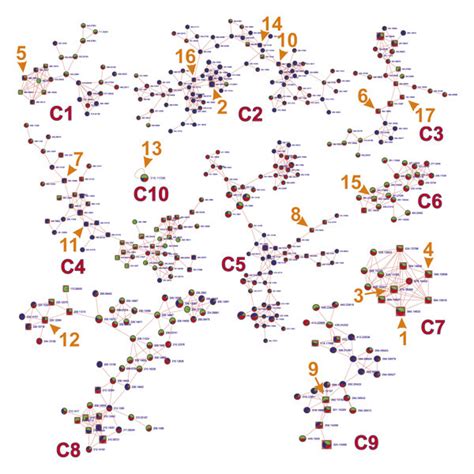 Molecular Networking Of Ms2 Data From U Dioica Showing Nine Clusters
