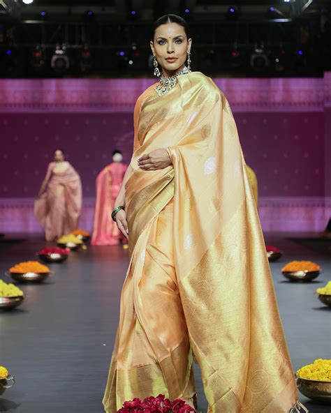 Light Peach Kota Kanjivaram Saree Adhvaria Silks
