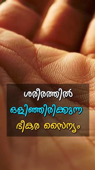 ഭീകര സൈന്യം ശരീരത്തിൽ ഒളിഞ്ഞിരിക്കുന്നു The Complement System Youtube