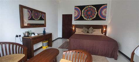 Fog Kandy Kandy Updated Prices 2026