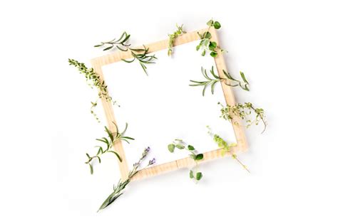 普羅旺斯的草藥一個食譜設計範本一張紙與芳香的法國廚房草藥從頂部拍攝在白色背景與複製空間 照片檔及更多 俯拍 照片 俯拍 俯視 剪貼板