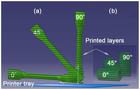 Polymers Free Full Text The Influence Of Printing Layer Thickness