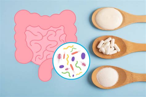 Balancing Your Microbiome With Probiotics My Love Link Health