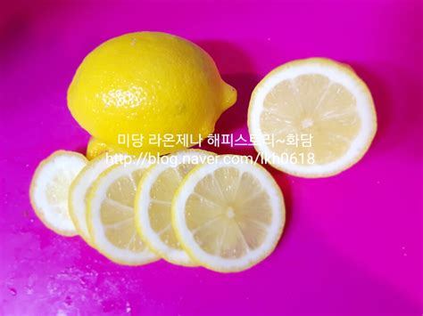 오이레몬물 만들기다이어트물레몬오이물 네이버 블로그