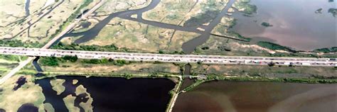 Charlotte Leibbskysocial On Bluesky