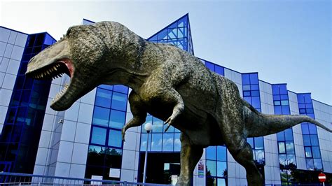 Geological Encounter With The Past