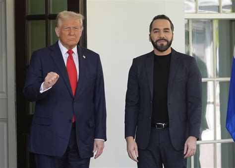 Noticias Sobre Nayib Bukele El Mundo