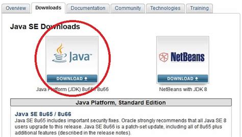 Installare La Jdk E Configurare La Variabile Dambiente Dummy X
