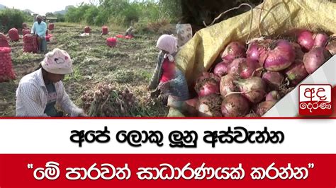 අපේ ලොකු ලූනු අස්වැන්න මේ පාරවත් සාධාරණයක් කරන්න Youtube