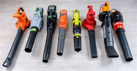 The Best Battery Powered Leaf Blowers To Buy In Urban Organic Yield