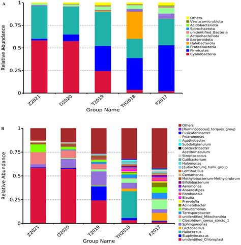 Bacterial Community Structure Succession At The Phylum Level A