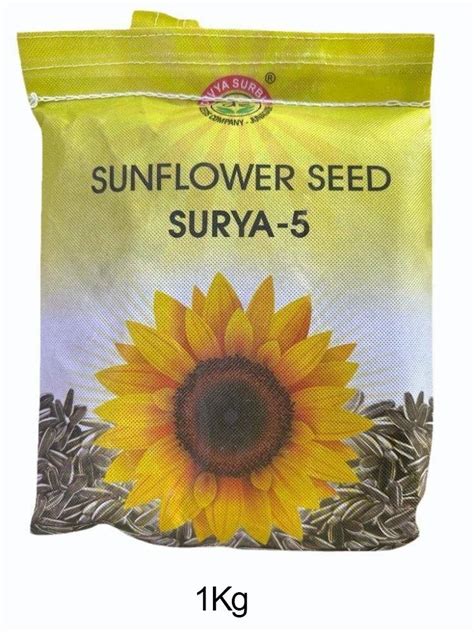 Dried Black 1kg Surya 5 Sunflower Seeds 90 Hdpe Bag At Rs 500kg In