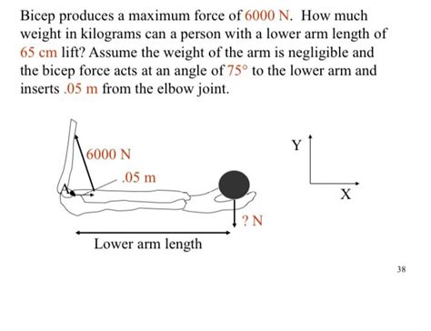 Solved Bicep Produces A Maximum Force Of 6000 N Solutioninn