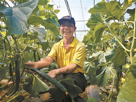 江源大地铺就乡村振兴的幸福底色 久治县 就业 产业