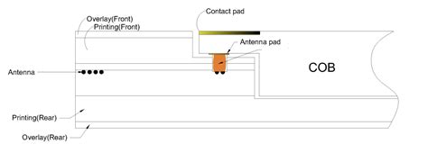 dual interface smart card the shoot