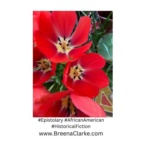 Breena Clarke On Linkedin Imagining An Afterlife Keeps Humans From Losing Hold Of The One Slender