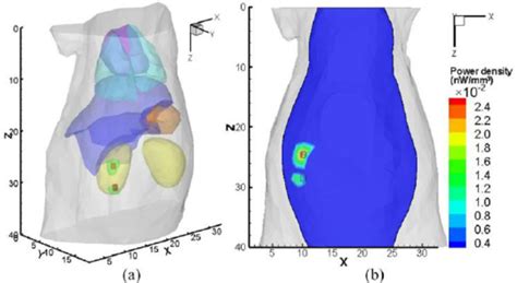 Reconstruction Results In The Double Source Case A The Isosurface