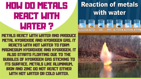 Reaction Of Metals And Non Metals With Water Introduction To Reactivity Series Of Metals PDF