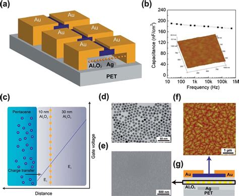 A Three Dimensional Illustration Of The Flexible Memory Array B Download Scientific