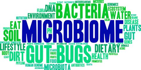 Human Microbiome Vs Microbiota Whats The Difference Essential