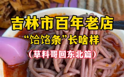 吉林市百年老店饸饹条长啥样 理查不会降落 理查不会降落 哔哩哔哩视频
