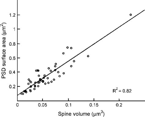 The Relationship Of Spine Volume To Postsynaptic Density Psd Surface