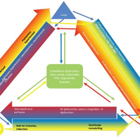 Dynamic View Of The Pathophysiology Of The Development Of Ph In Ckd