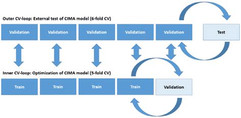Figure D1 Schematic Illustration Of The Cross Validation Cv Download Scientific Diagram