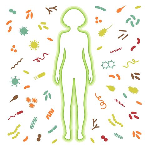 Weak Immune System Signs Causes And Risk Factors